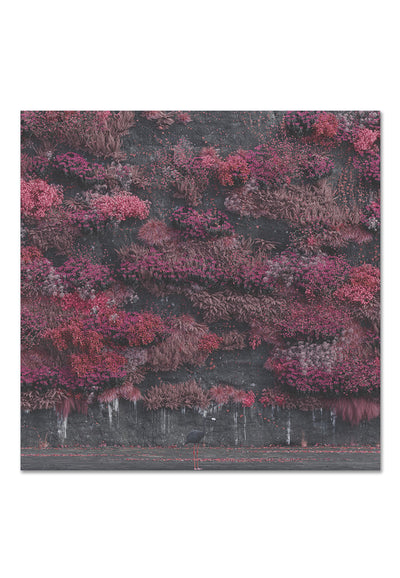 Sleep Token reveal new masks