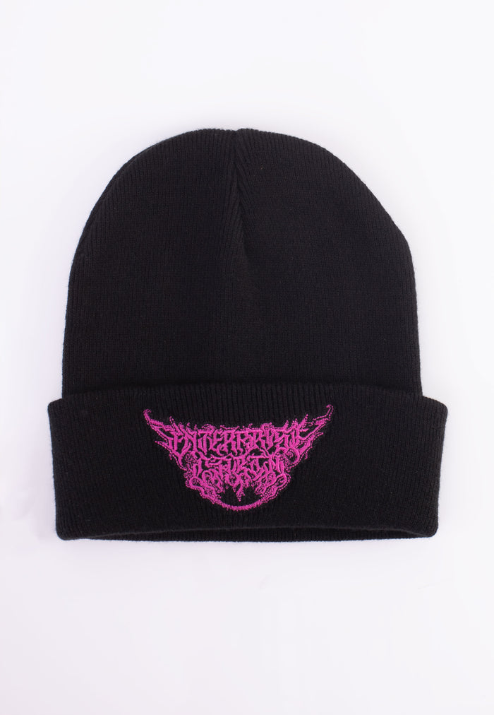 Enterprise Earth New Logo - Beanie | Impericon