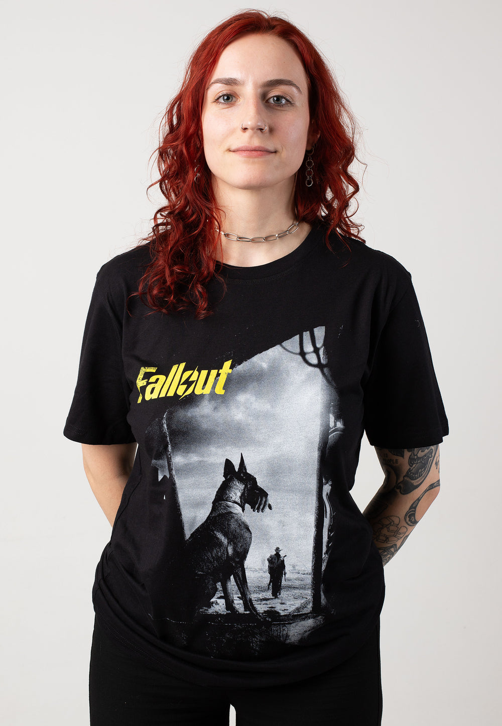 Fallout - Vault 33 Dogmeat - T-Shirt | Impericon