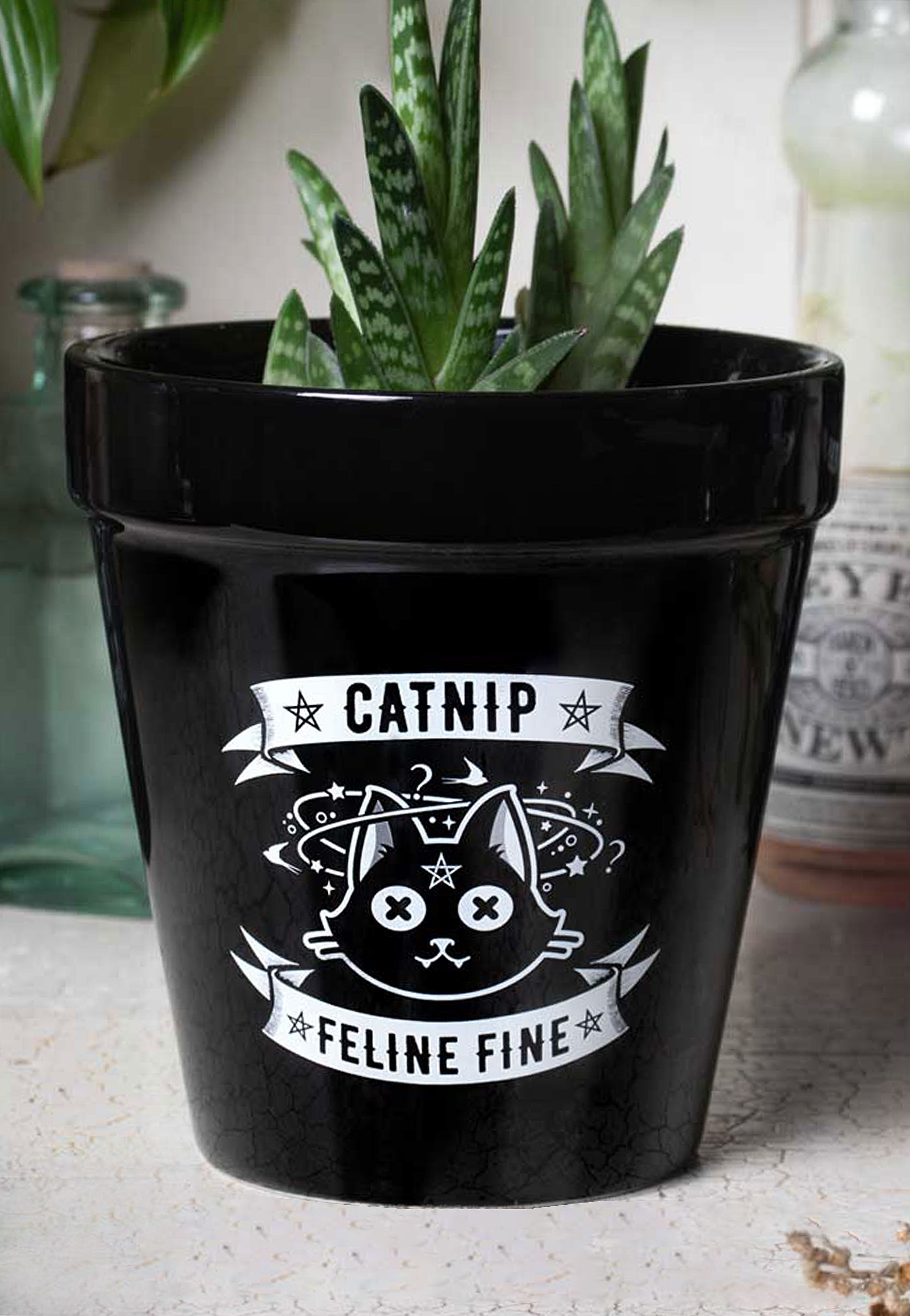 Alchemy England - Catnip - Plant Pot | Impericon