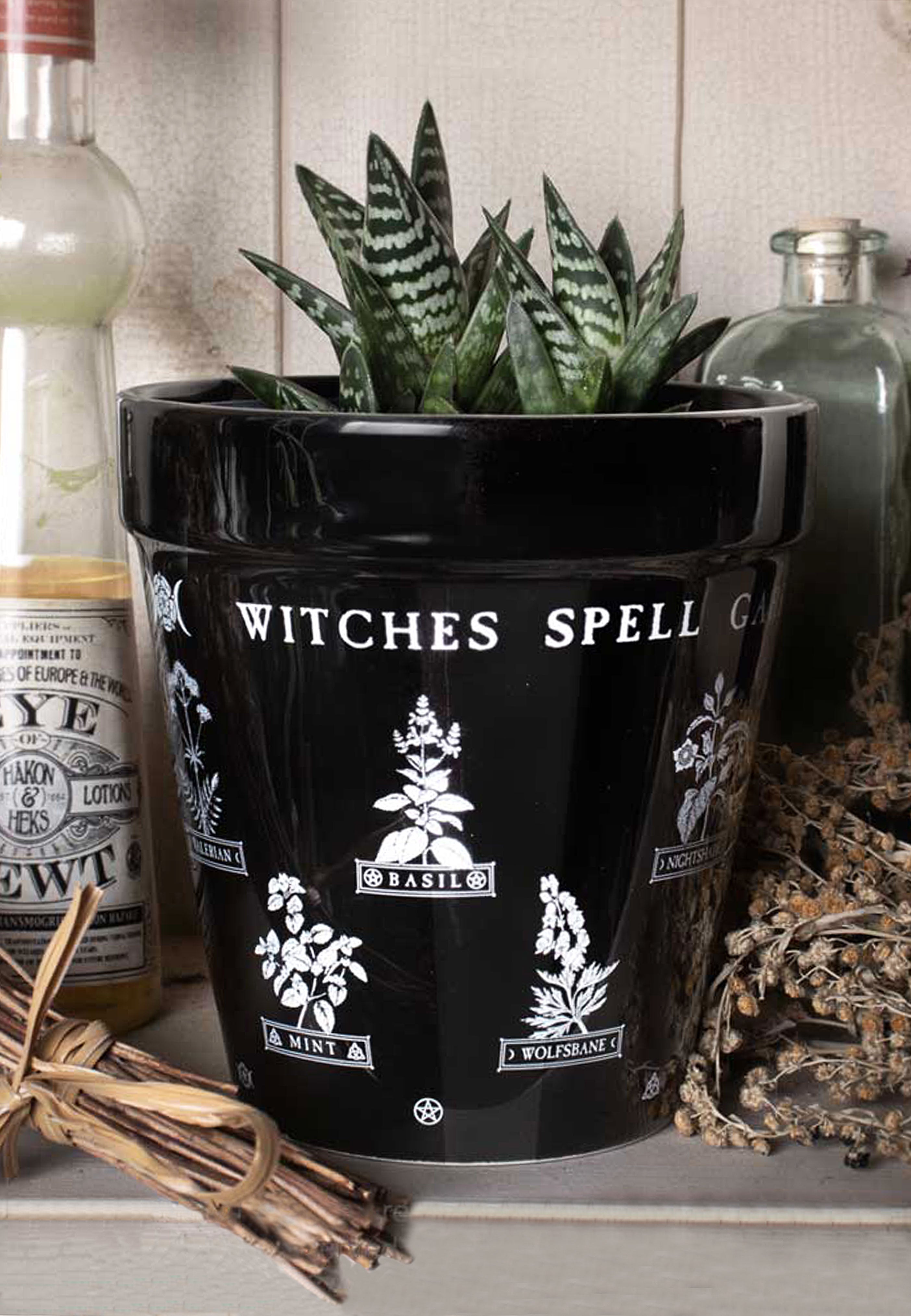 Alchemy England - Witches Spell Garden - Plant Pot | Impericon