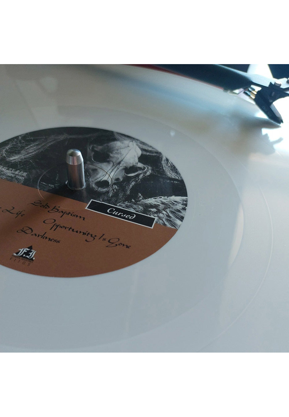 Morgoth - Cursed White - Colored Vinyl | Impericon