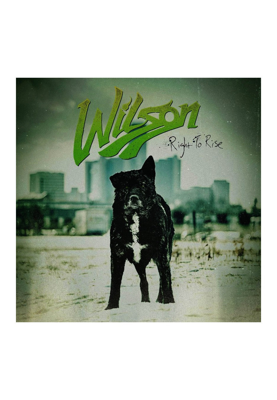 Wilson - Right To Rise - CD | Impericon